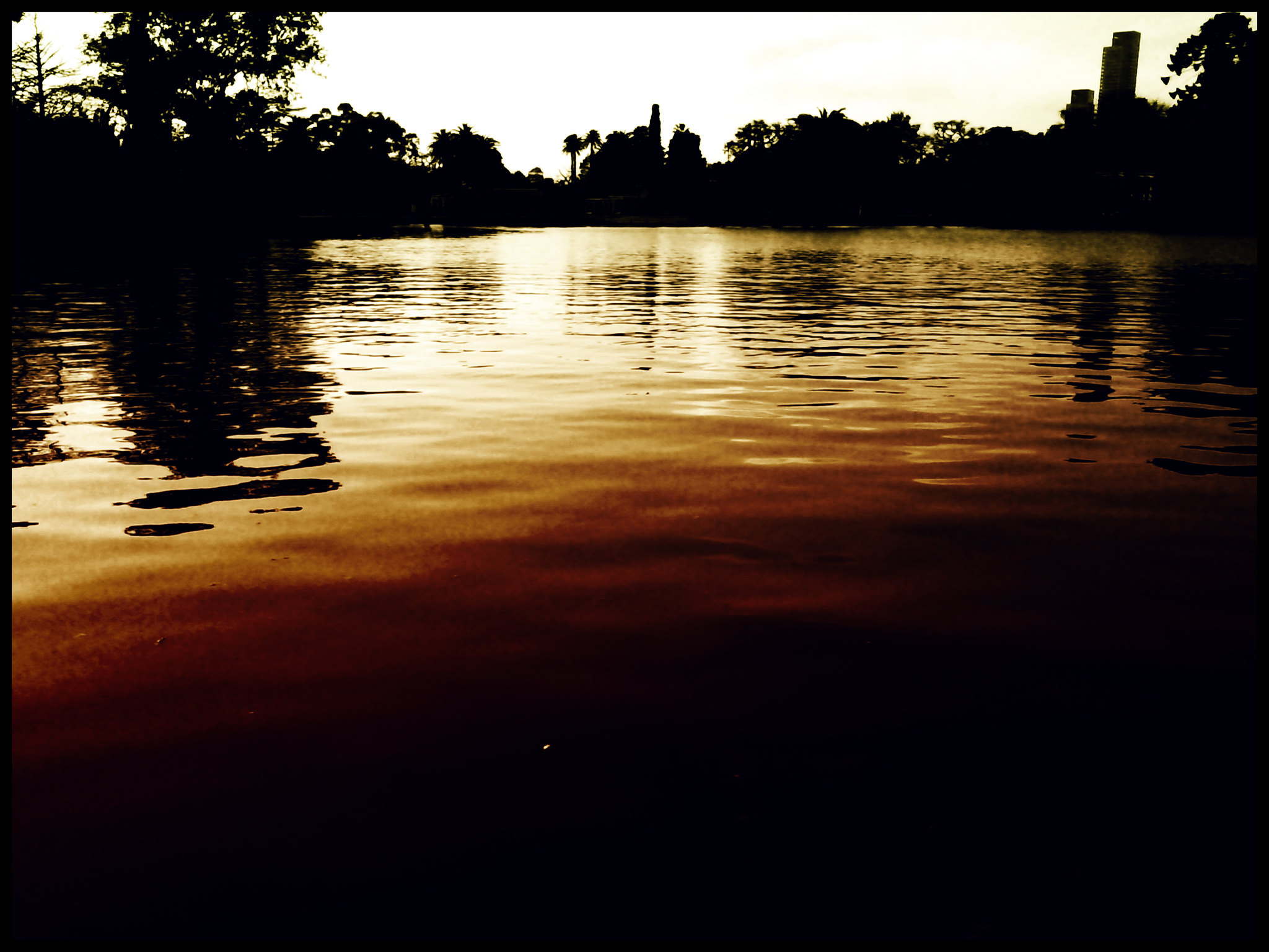 Naming Phoenix by Sara Dobbie | (mac)ro(mic)