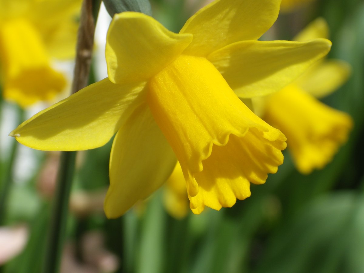 Pieces by Christopher Locke | (mac)ro(mic)